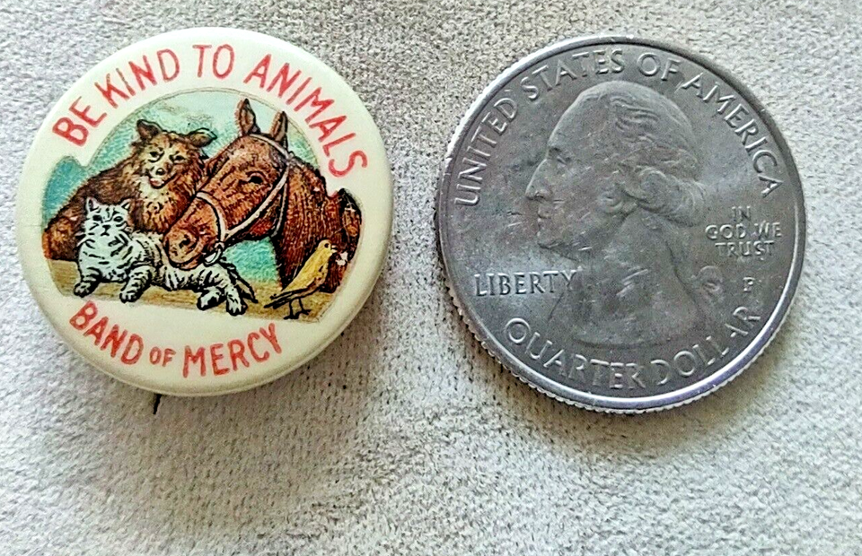 Antique Celluloid Be Kind to Animals Band of Mercy Pledge Pin Back ...