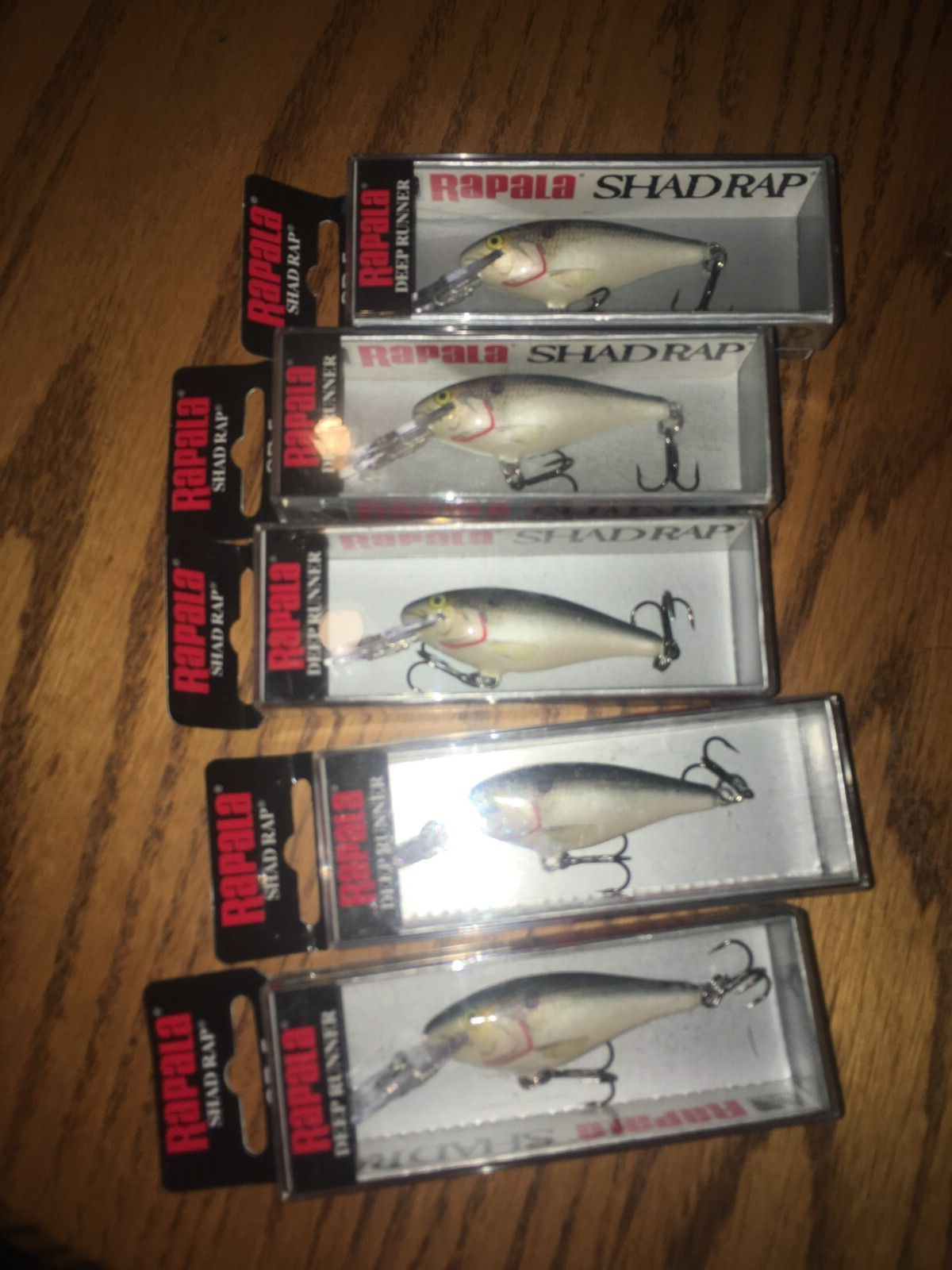 RAPALA SHAD RAP 05's==LOT OF 5 SHAD COLORED FISHING LURES | eBay
