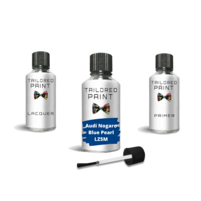 For Audi Nogaro Blue Pearl LZ5M 30ml Touch Up Paint Repair Pen | eBay UK