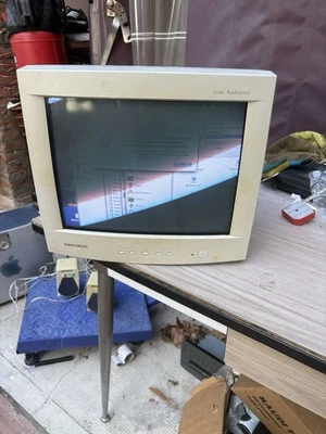 Monitor CRT | Acquisti Online su eBay