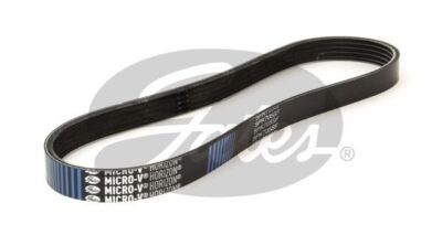 Gates V-Ribbed Belt 5PK705SF fits Ford Focus LS, LT 2.0 i | eBay Australia