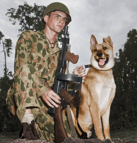 WWII Photo US Marine with War Dog & Thompson SMG USMC World War Two WW2 ...