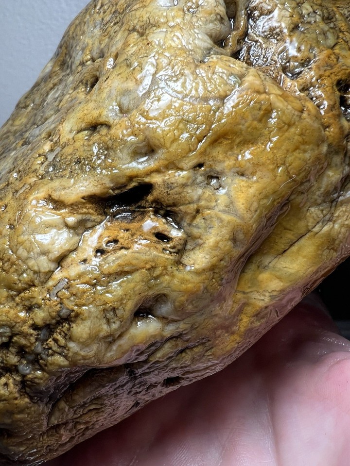 4lb .9oz Lake Superior Cold Water Agate Large Rough Display Specimen ...
