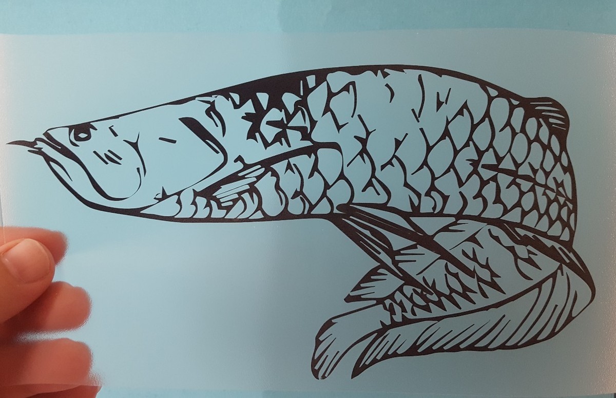 Arowana Drawing