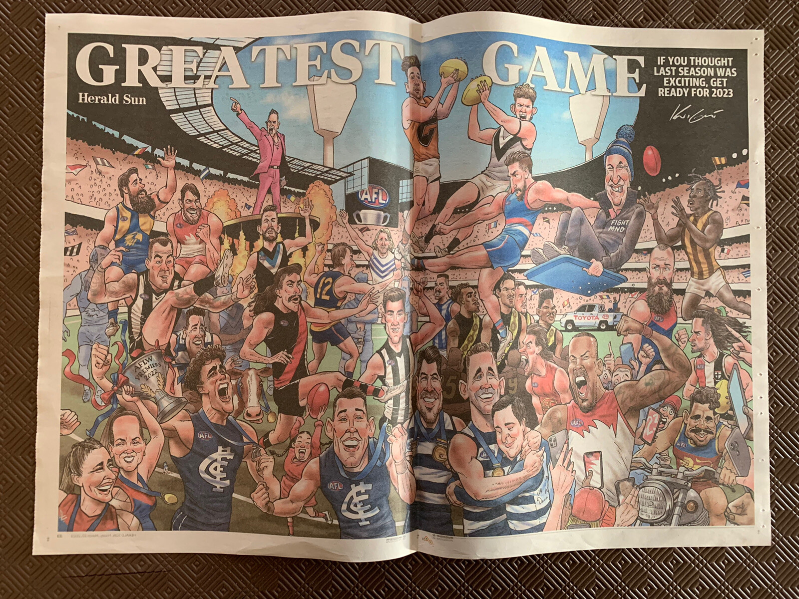2022 AFL SEASON IN REVIEW CARICATURE CARTOON POSTER HERALD SUN | eBay ...