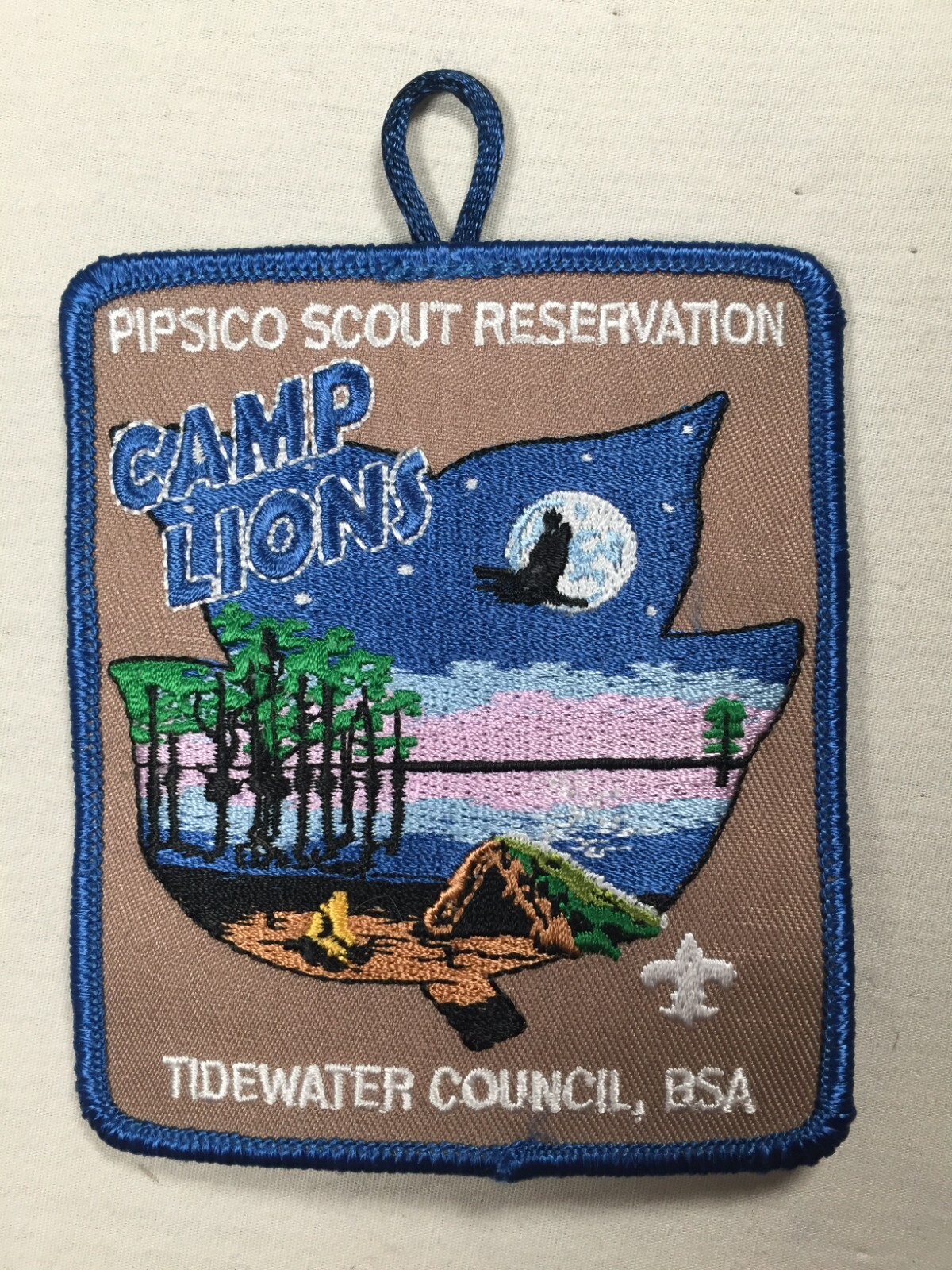 Camp Lion Pipsico Scout Reservation blue Boy Scout Camp Patch | eBay