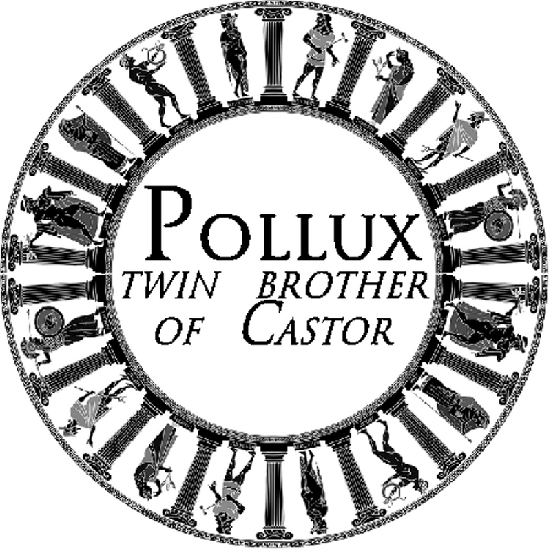 Pollux Twin Brother of Castor Greek Mythology - 10 Pack Circle Stickers ...