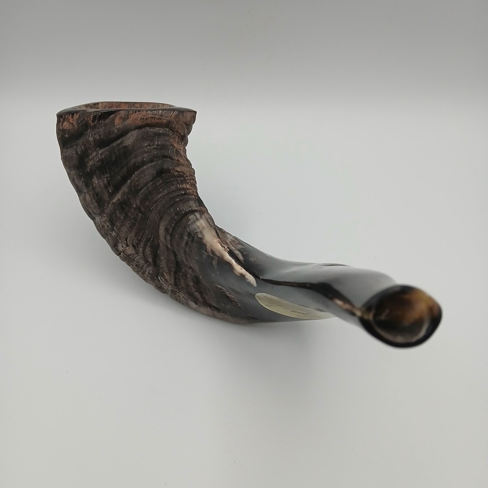 Vtg Ram Horn Shofar Jewish Israeli Musical Instrument Art Mishaan Made ...