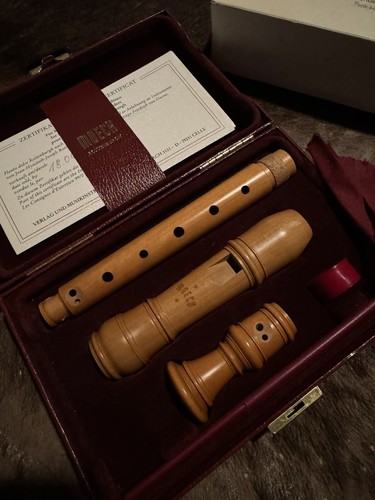 Moeck 329 Rottenburgh Sopran Recorder | eBay