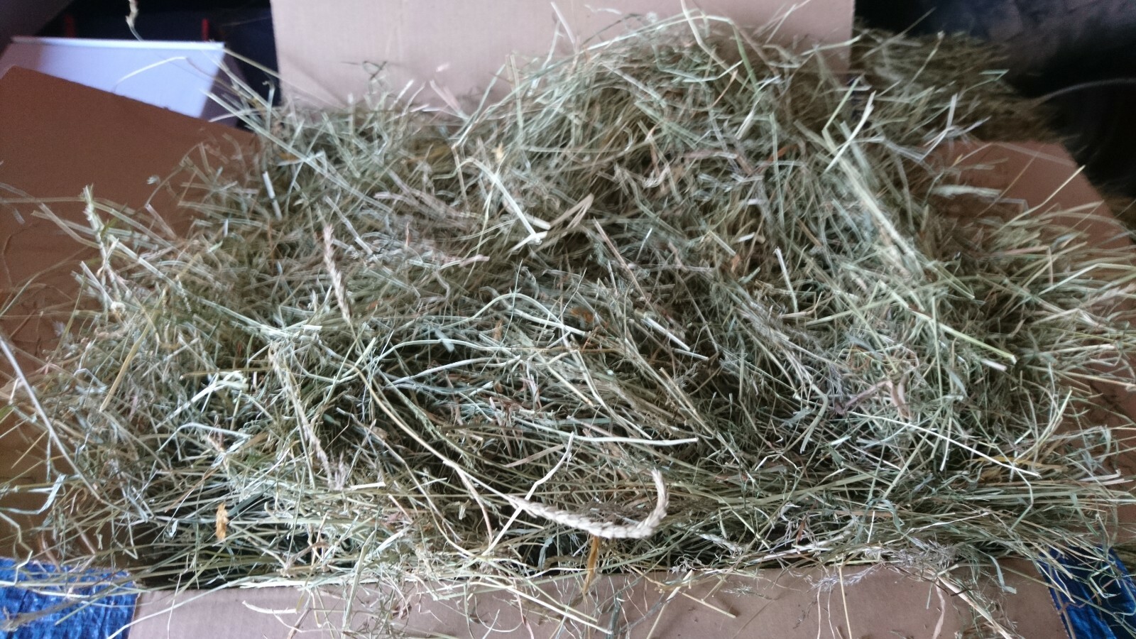 3kg of Devon Orchard Hay for Rabbits | eBay