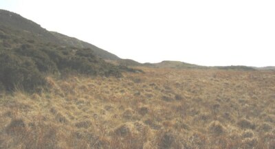 Photo 6x4 A platform of damp tussocky grass below heathery slopes on ...
