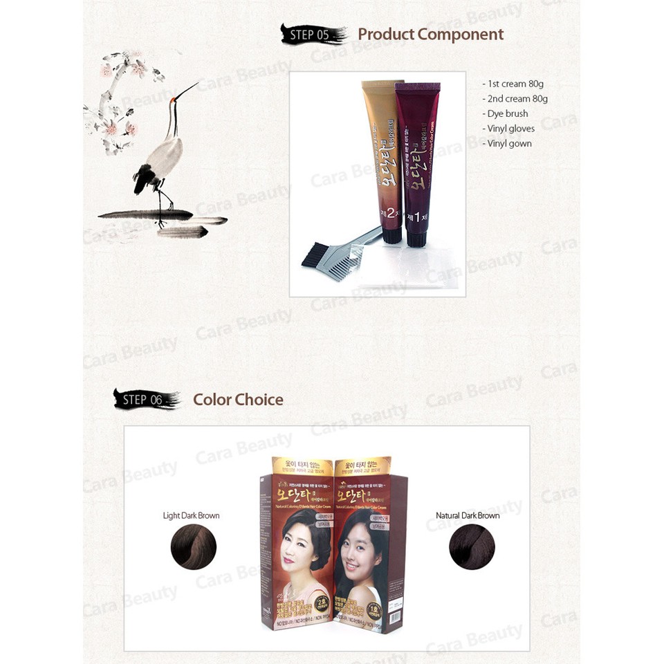 Korea Herbal HAIR DYE KIT Cover Grey Hair NO PPDA NO AMMONIA NO ...