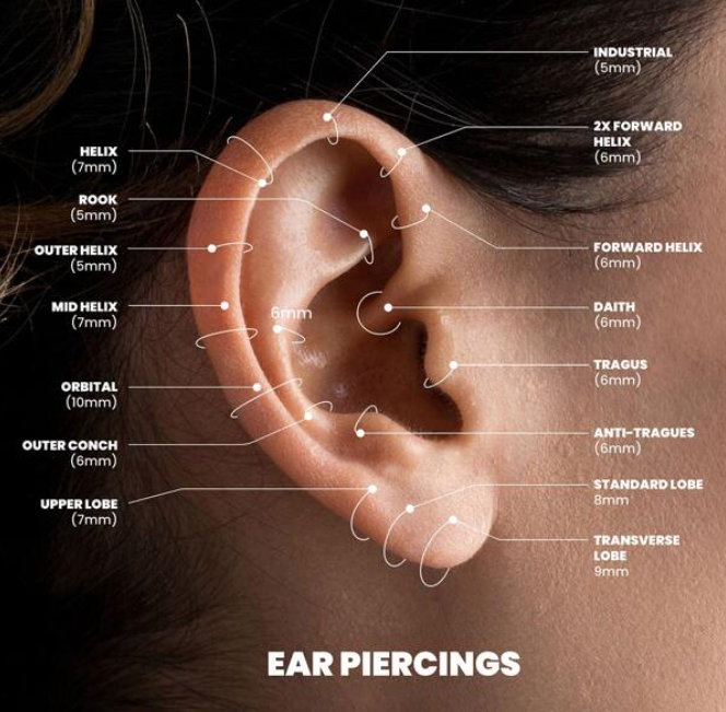 Set 12g 1/2 horseshoe 5x7mm Spike Ear Helix Nose Ring 316L Surgical ...