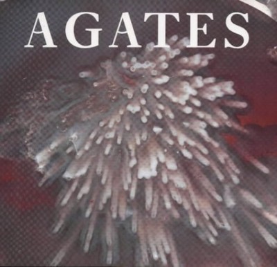 Agates (Earth) by Natural History Museum Paperback / softback Book The ...