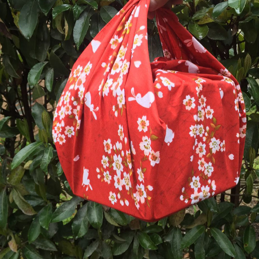 1 Sushi-Box mit Deckel, chinesische Bento-Box, Dim-Sum-Tablett | eBay