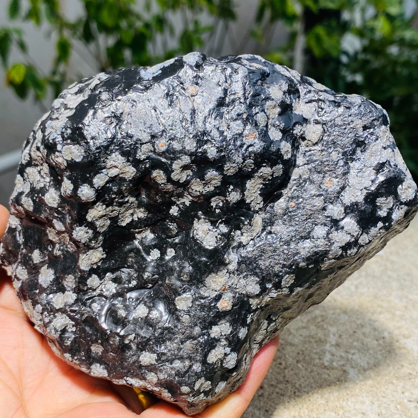1.9lb Natural Snowflake Obsidian Quartz Crystal Volcanic Rock Rough ...