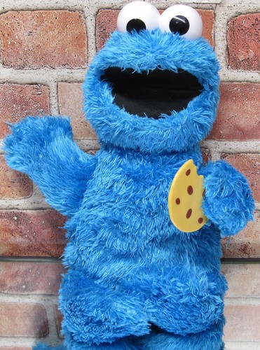 Sesame Street Feed Me Cookie Monster Plush Interactive 13” Sings Shakes ...