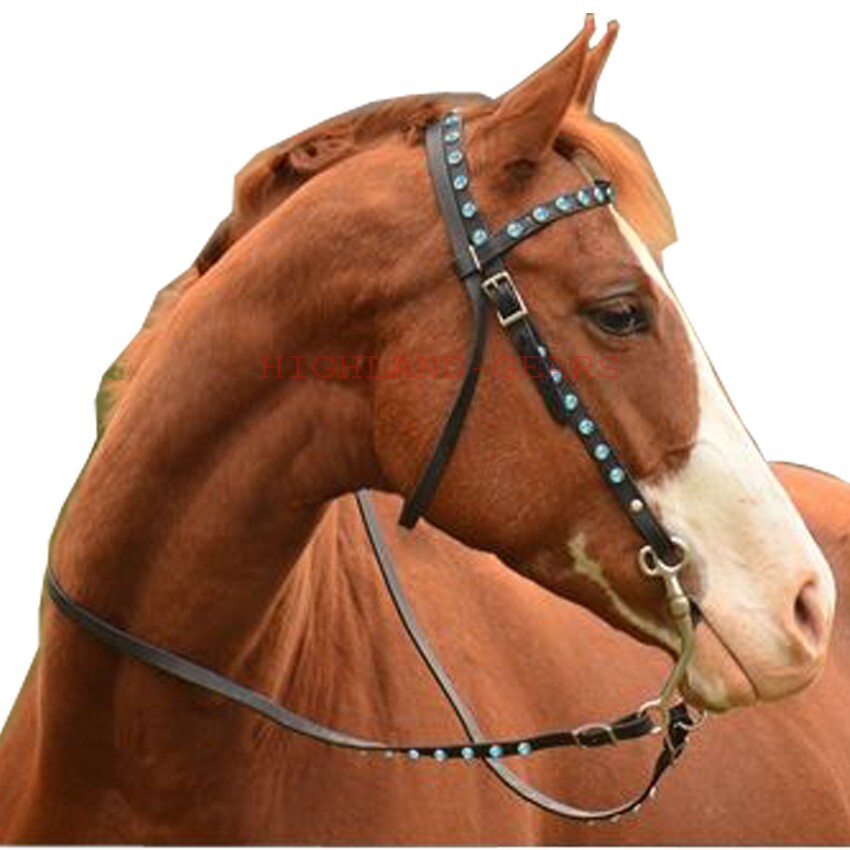Western Bridle Snaffle