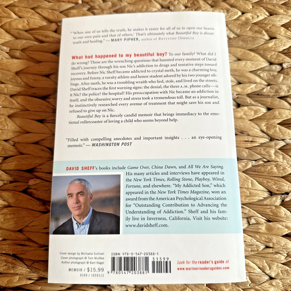 Beautiful Boy : A Father's Journey Through His Son's Addiction by David ...