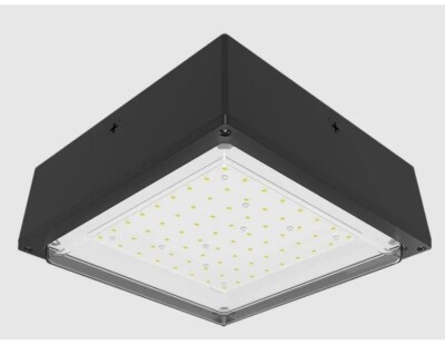 RAB VANLED20N Canopy LED 4,000K, 20w, Drop lens, Bronze, 120-277v, 0 ...