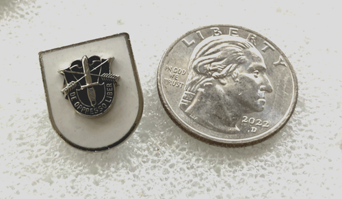 SPECIAL FORCES GREEN BERET LAPEL PIN | eBay