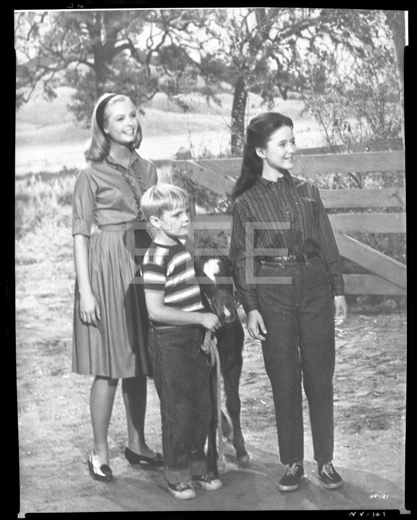 Lori Martin 490 Lori Martin Stock Photos, High Res Pictures, And