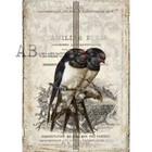 French Birds | A4 Rice Paper | A4 Decoupage Paper | AB Studios | eBay