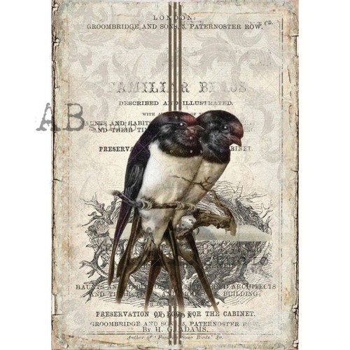 French Birds | A4 Rice Paper | A4 Decoupage Paper | AB Studios | eBay