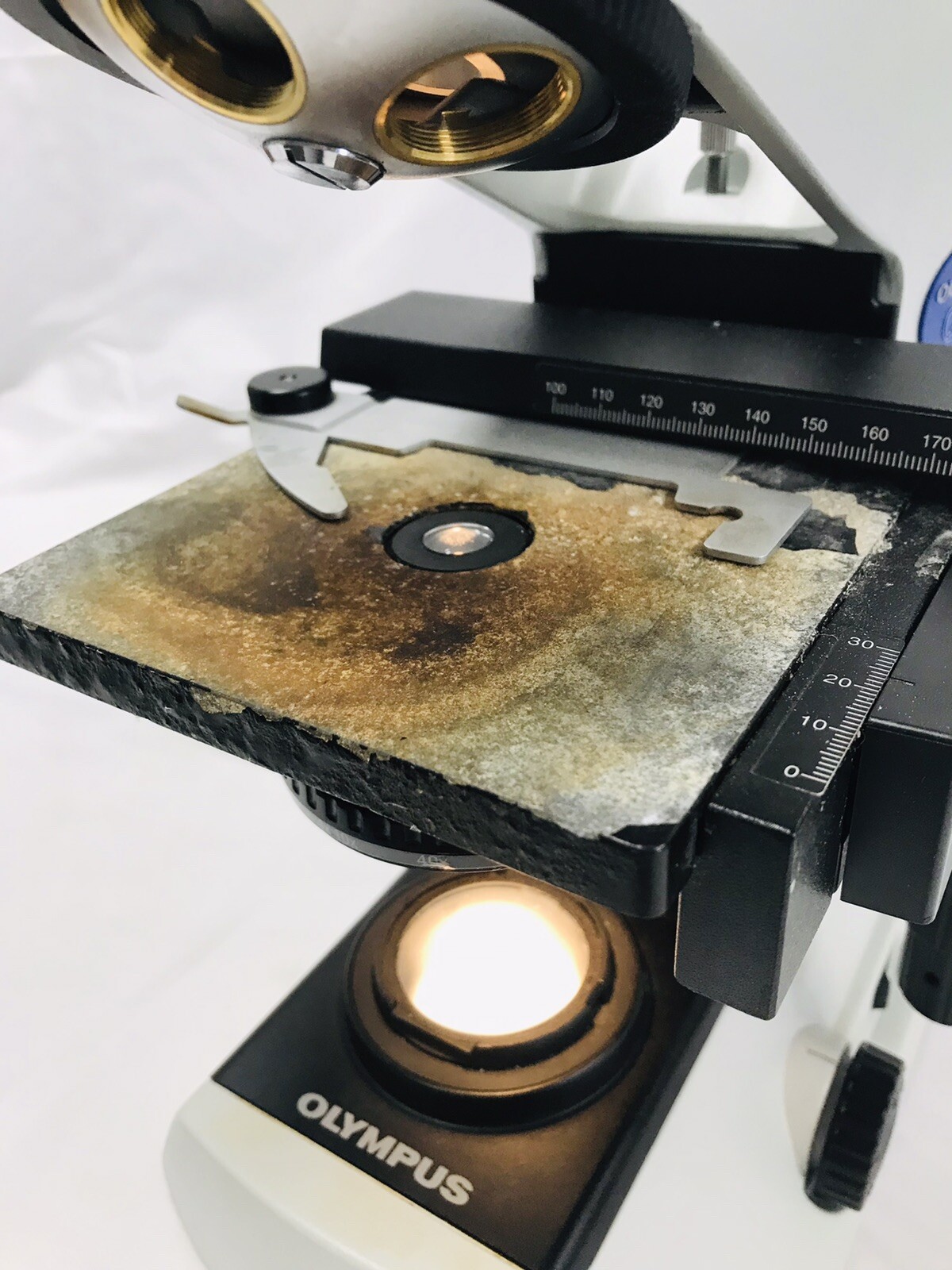 Olympus Cx21 Microscope CX21FS1 Just Add Objectives for sale online | eBay