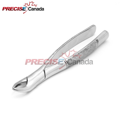 EXTRACTING FORCEPS # 101 DENTAL SURGICAL INSTRUMENTS EXTRACTION FORCEPS ...