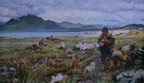 E A WATERLOW - THE ORPHAN LAMB - SHEPHERD - FARMING ART - VINTAGE 1930 ...