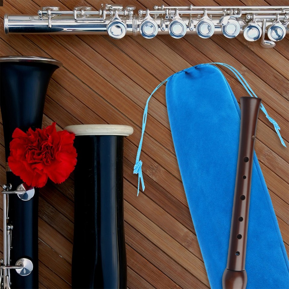 3pcs Recorder Bag Flute Storage Case Bag Vertical Flute Case Portable ...