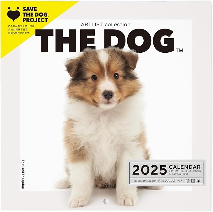 Mini Sheltie Hunder Shetland Sheepdog Pup Kopen? | Bazoeki