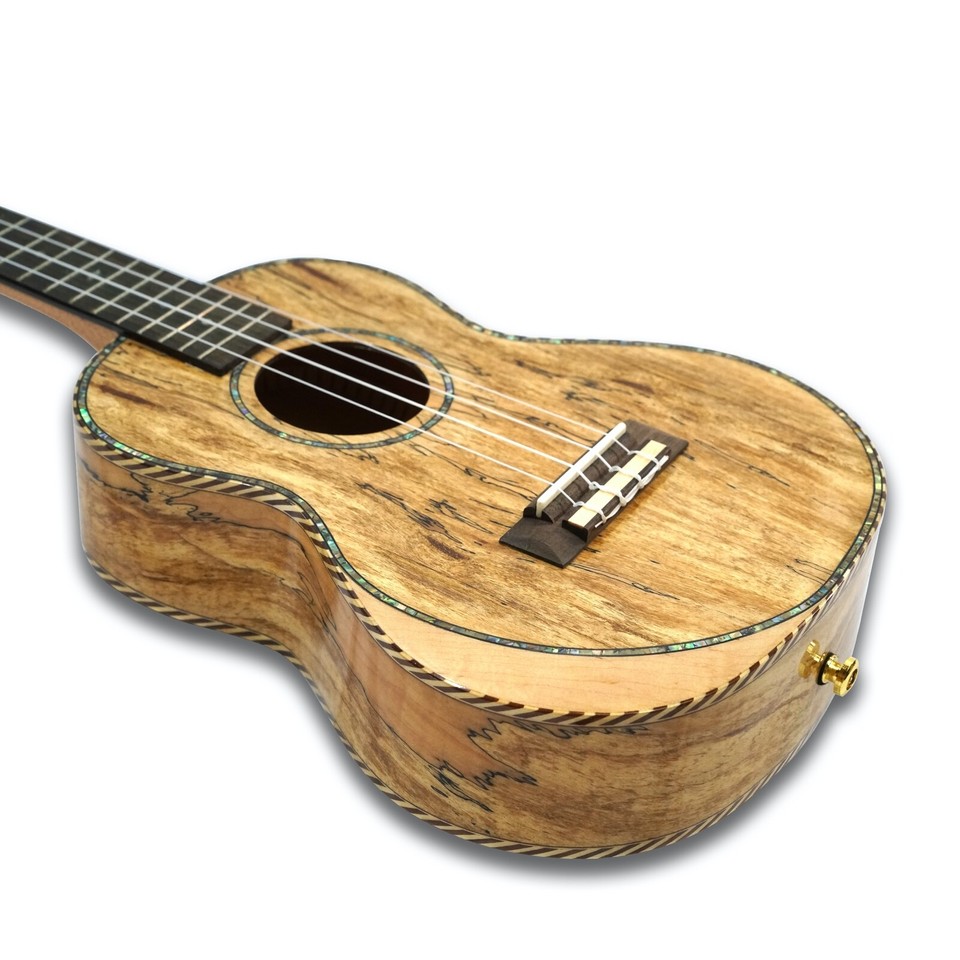 26" 4 Strings Hawaiian Tenor acoustic Ukulele, Canadian Spalted Maple ...
