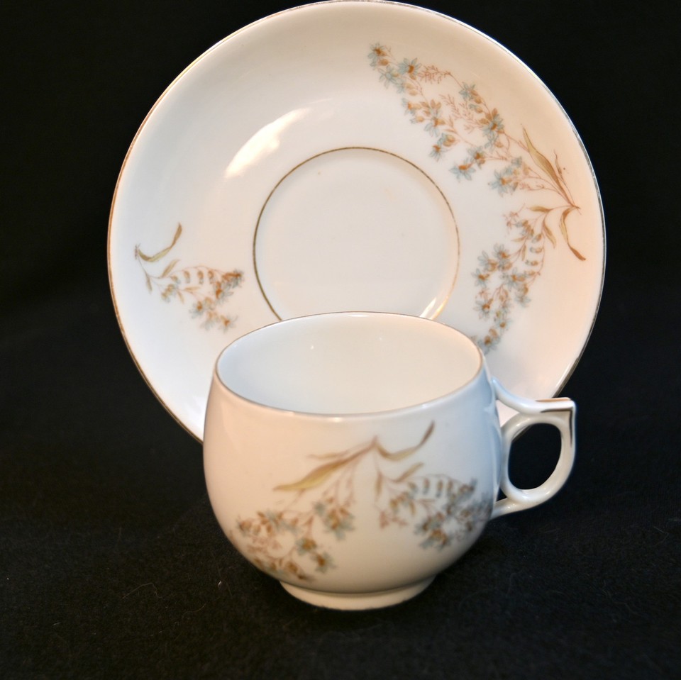 Carlsbad China Co Set 2 Cups & Saucers Blue & Pink w/Gold 1883-1914 ...