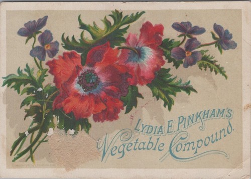 C A Watson Druggist Homer New York Lydia E Pinkham Vegetable Compound ...