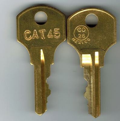 GE EST EDWARDS CAT 45 Fire Alarm Key x1 | eBay