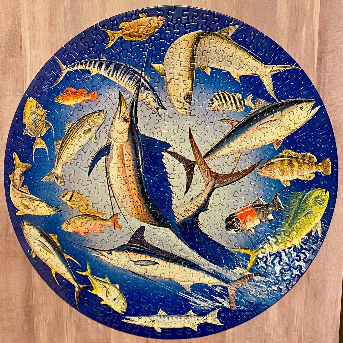 Saltwater Game Fish Art