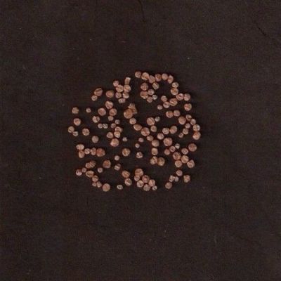 INDIA 11-15th CENTURY x 50 Pcs Lot World's smallest GOLD COIN INDIAN ...