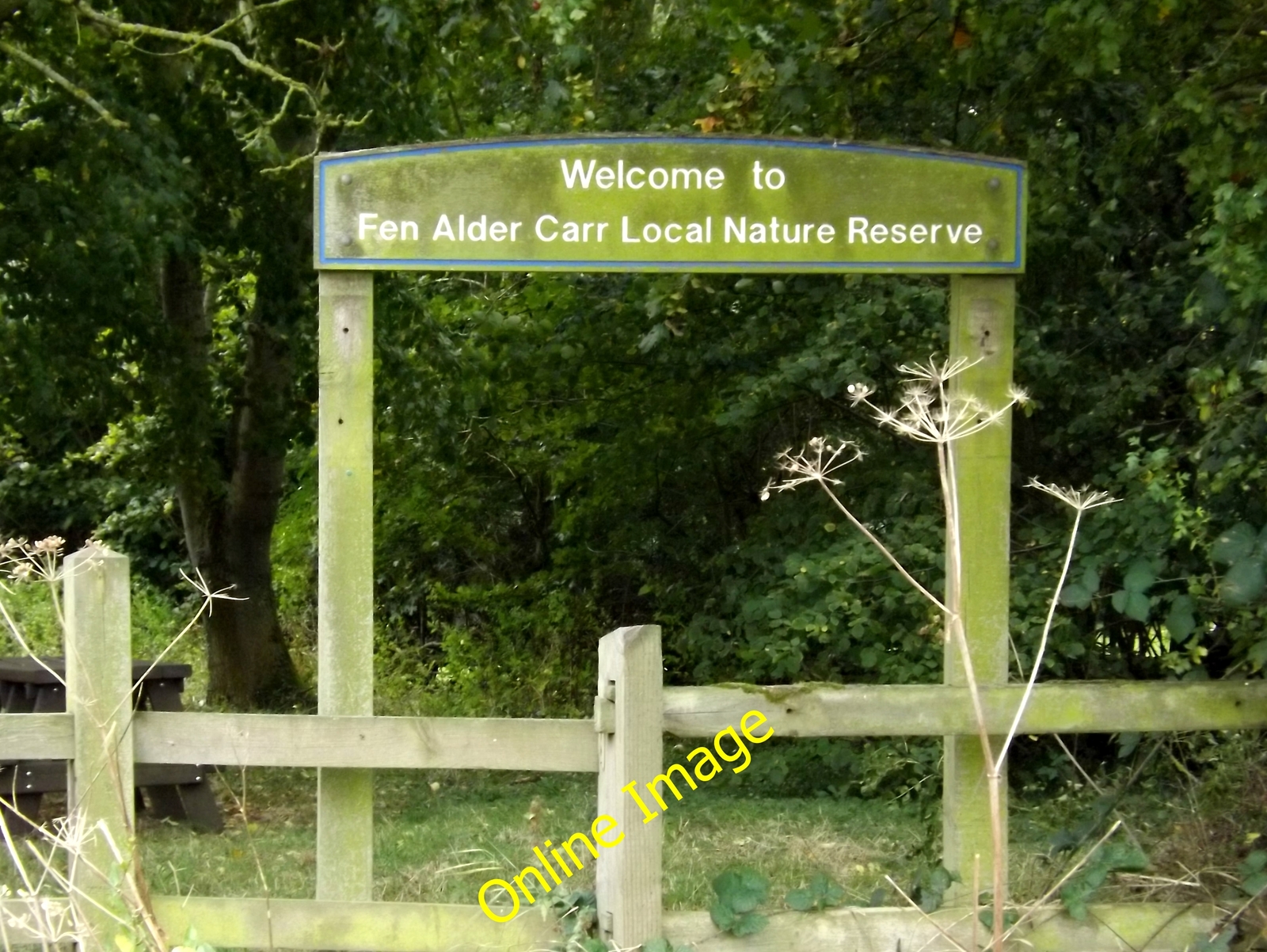Photo 12x8 Fen Alder Carr Nature Reserve sign Creeting St Mary Off Fen ...