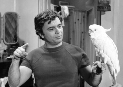 Robert Blake is Baretta in Classic TV Series Poster Picture Photo Print ...