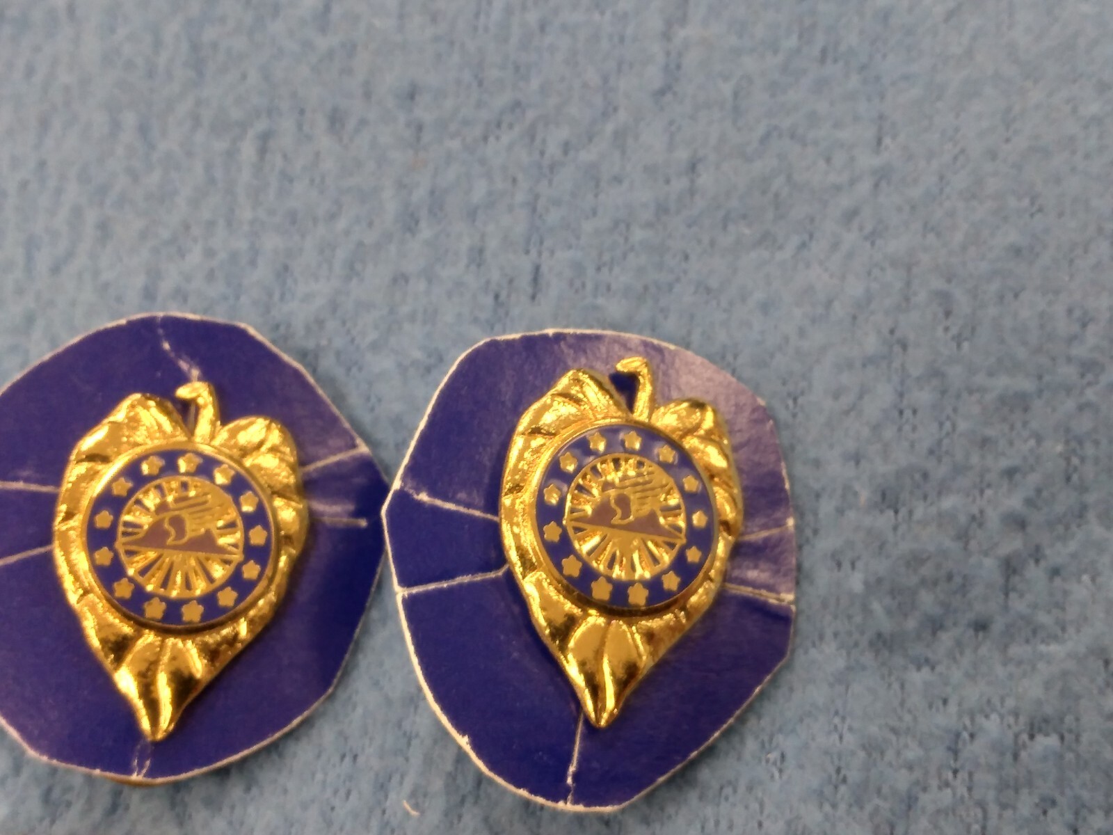 PAIR OF - US Army 20th SUPPORT BATTALION Unit DI DUI Crest Insignia ...