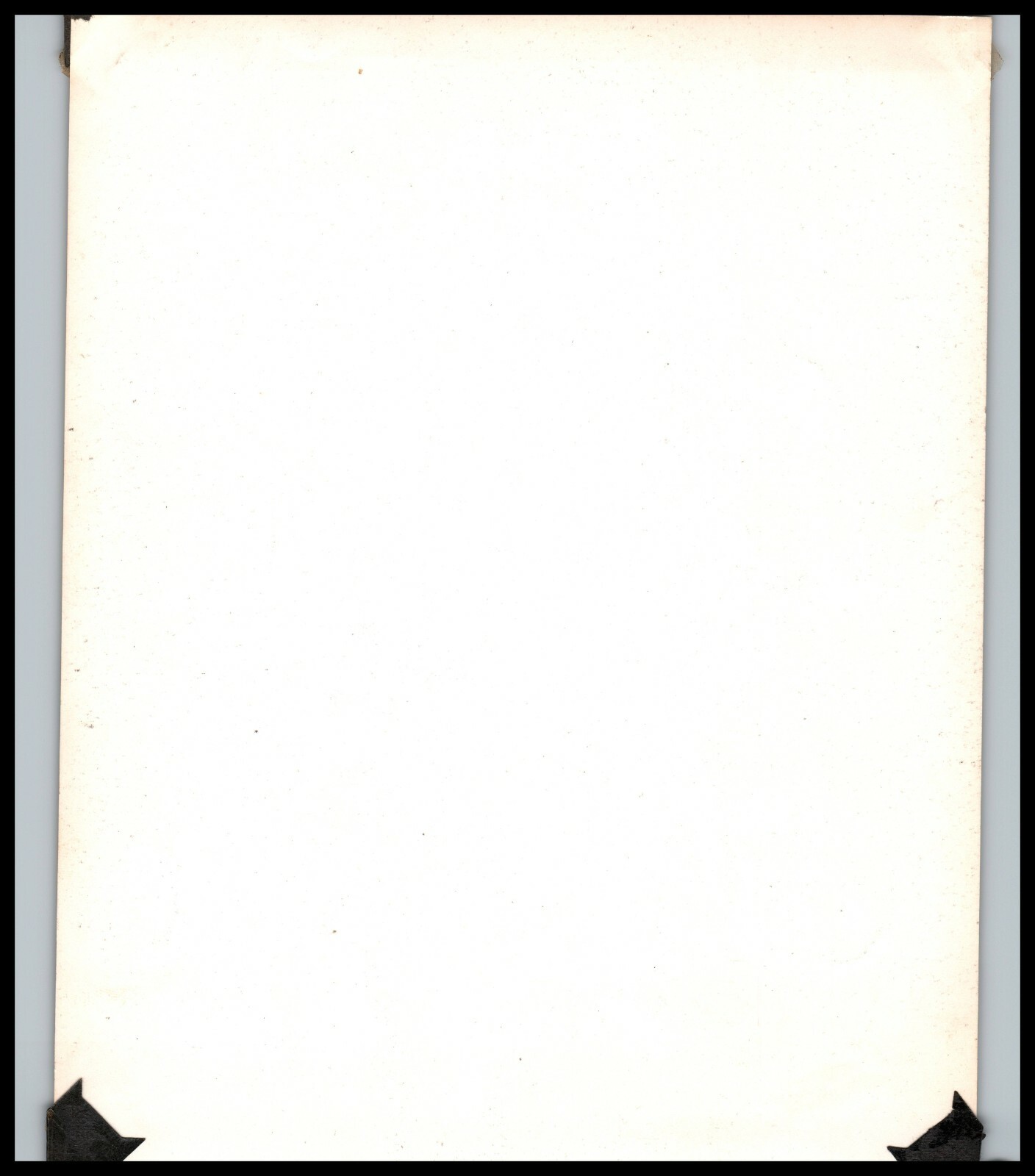 Trudy Erwin BEAUTIFUL STUNNING PORTRAIT LOVELY POSE 1950s ORIG PHOTO ...