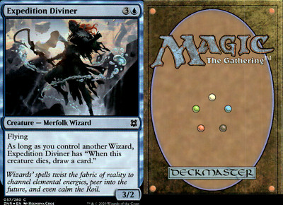 Magic the Gathering -MTG- Expedition Diviner Foil | eBay