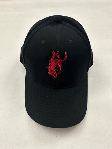 Pendleton Black Logo Graphic Adjustable Baseball Hat Cap One Size | eBay