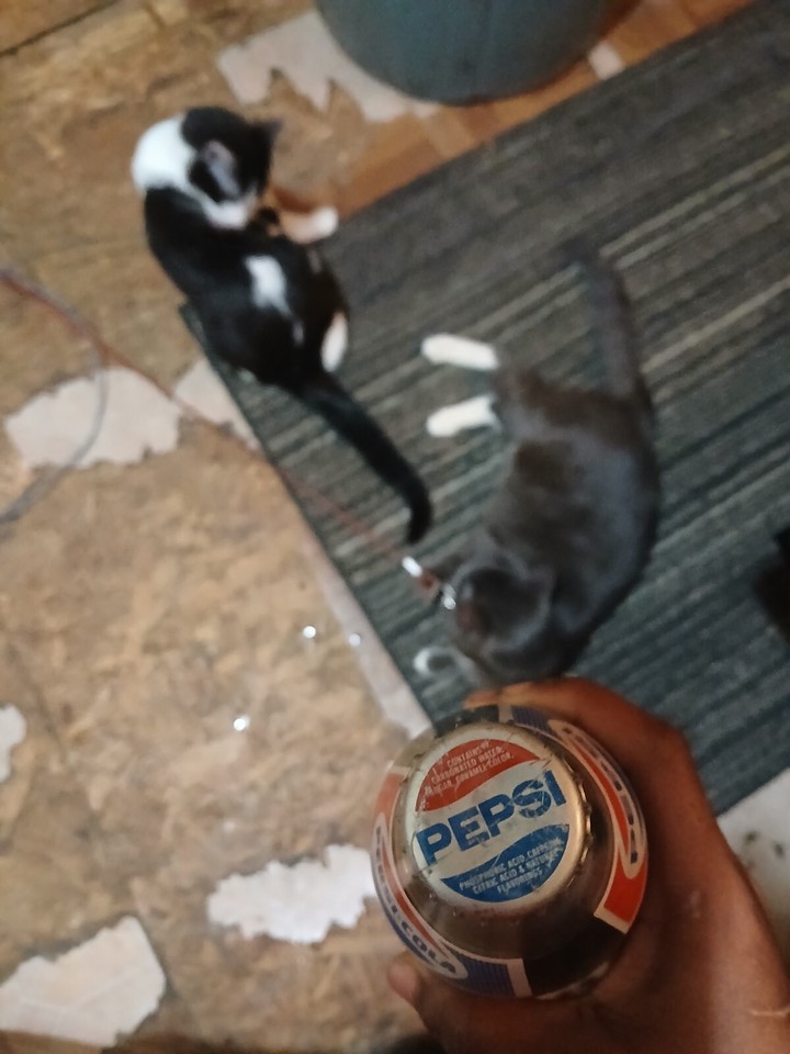 Vintage PEPSI - COLA GLASS BOTTLE 16 OZ SWIRL CLEAR GLASS Empty PEPSI ...