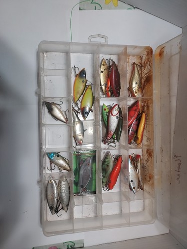 Box Of 24 Rattle Traps | eBay