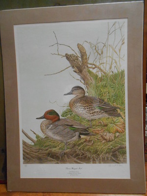 KENNETH FERRIS S/N WATERFOWL, GREEN WINGED TEAL Ducks Unlimited Canada ...