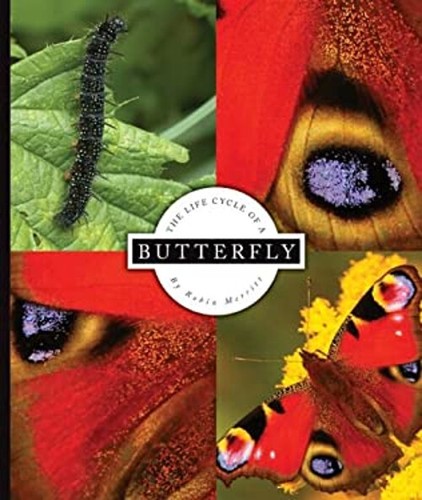 The Life Cycle of a Butterfly Library Binding Robin Merritt ...