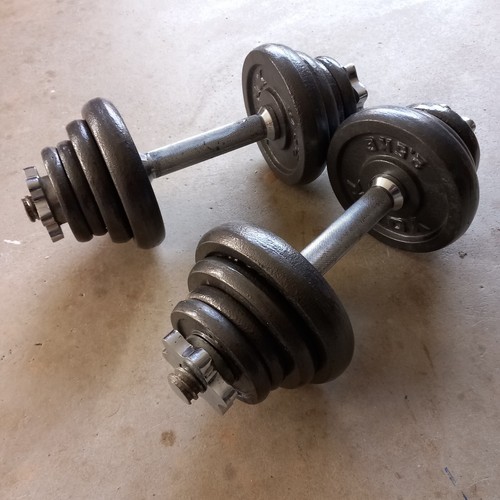 York 22kg Dumbbell Weight Set Home Gym Lifting Cast Iron Plates w ...